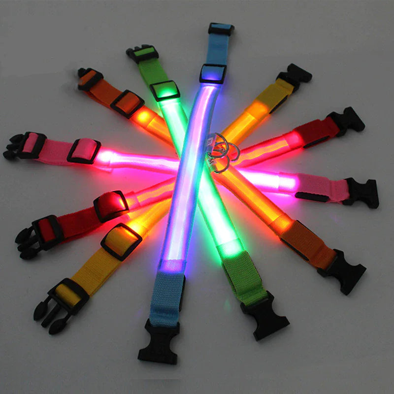 LED Adjustable Dog Collar Blinking Flashing Light Up Glow Pets Safety ...